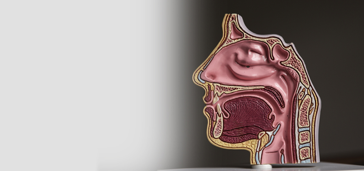 Best ENT Specialist Near Me in Mumbai |The ENT Specialists